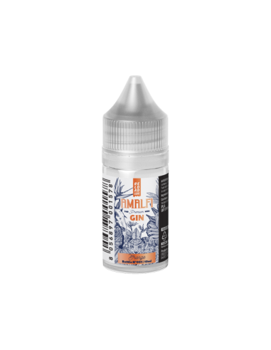 Orange Amalfi Gin Reload Vape Aroma Mini Shot 10ml | Svapoebasta
